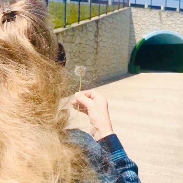 My Little Pony G1 Sweet Tooth - Etsy