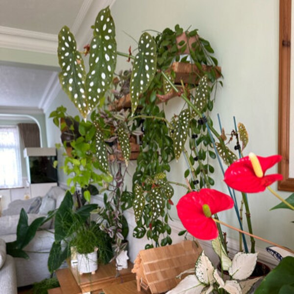 LARGE PHOTO or Message PEG & Push Pin Hessian Bulletin Board, Pin ...