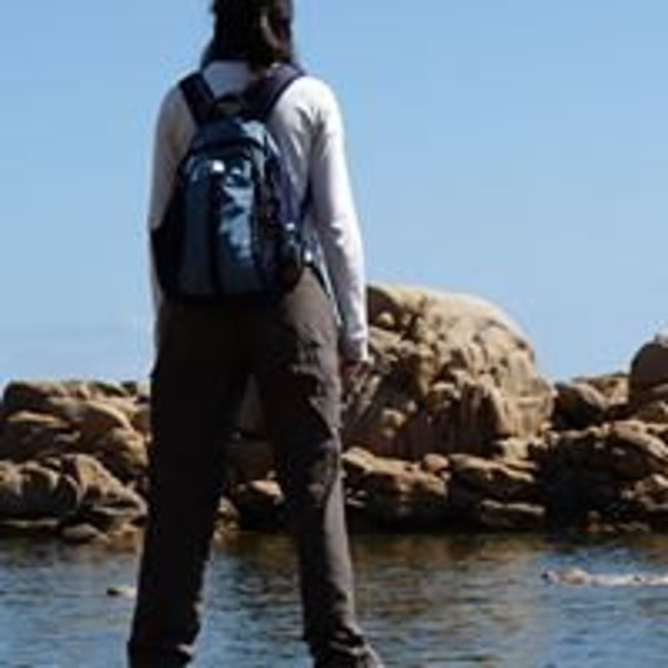 Mr. & Mrs. Mouse DIY Kit, Specialy Made to Fly in the Balloon. - Etsy