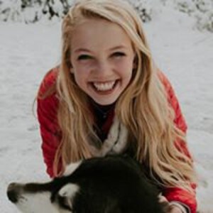 Back to School Bulletin Board Kit With a Student Back to School ...