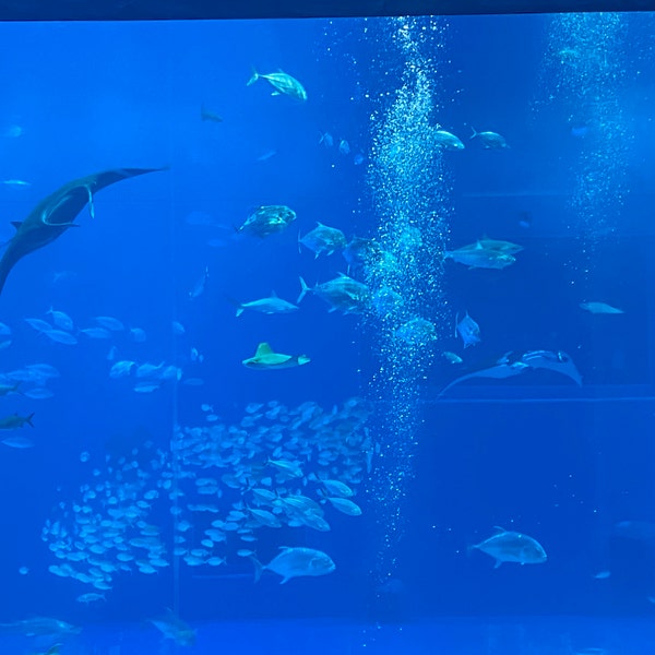 Higher Self Activation Psychic Reading. Chakra Balancing,negative ...