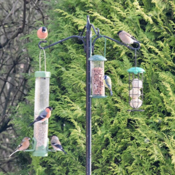 Personalised Script Names Words & Letters Wooden Christmas High Quality ...