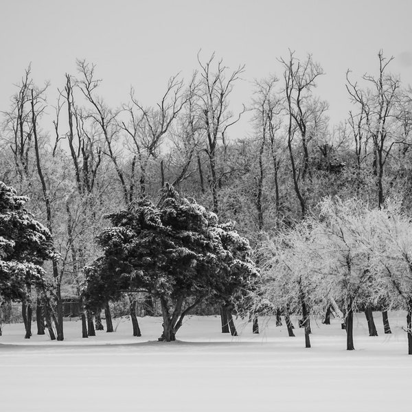 Golem Chibi Miniature, Clay Golem, Flesh Golem, Iron Golem, Stone, Dice ...