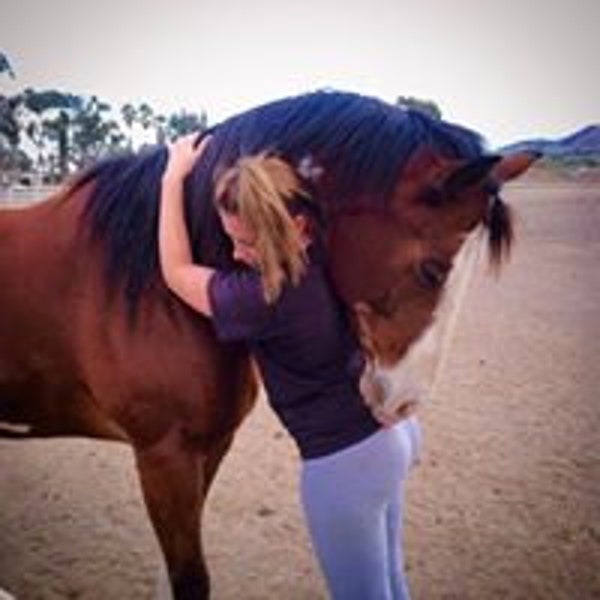 Insect Themed Movement Cards Movement Breaks Physical Activity Perfect ...