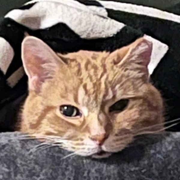 Grenade Brooch Military Jewelry - Etsy