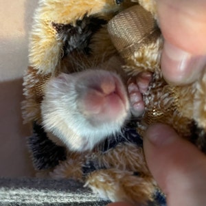 First Aid Kit Vinyl Rabbit Sticker Label, Glossy Red Medical Sticker ...