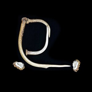 Pool Party Clipart Commercial Use, Vector Graphics, Digital Clip Art ...