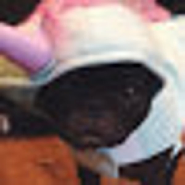 Mini Macaron Turtle Crochet Pattern Mini Size Download Beginner ...