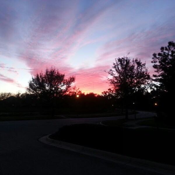 Custom Dungeon Master Screen Wooden RPG Screen Gift Table Top Games ...