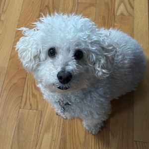 One Direction Album Prints Music Posters 1D Album Cover Prints 1D Solo ...