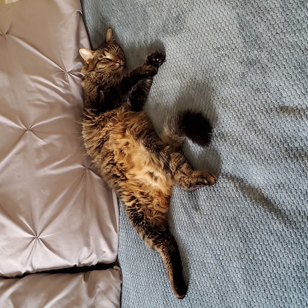 Magic Tea Party Set, Bookish Loose Tea Inspired by Howl's Moving Castle ...