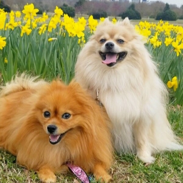 Baby Word Scramble Game Bumble Bee Baby Shower Game Printable Mommy to ...