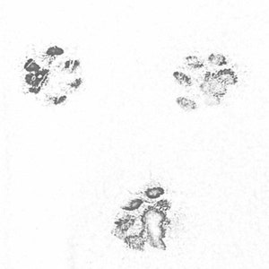 Arm Sling Cast Cover Sewing Pattern 4 Sizes Childrens to Adult With ...