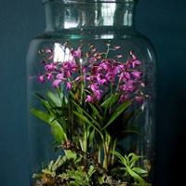 Bright Newsletter Template Editable, Rainbow Monthly Newsletter - Etsy