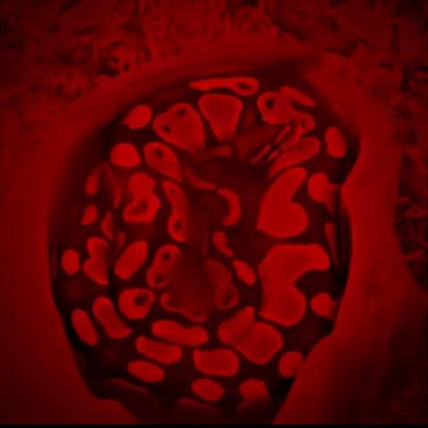 Samurai Prop Swords 3D Printed - Etsy