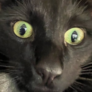 Big Dipper Necklace Gold Big Dipper Charm Ursa Major Great Bear North ...