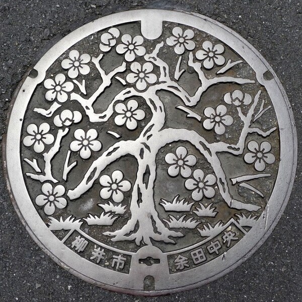 Rust-oleum 350215 Photo Transfer Medium, Gloss - Etsy