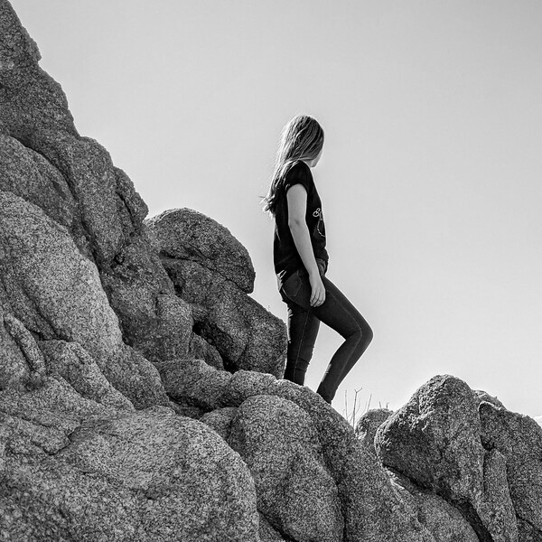 Cactus Meet the Teacher Template Meet the Teacher Editable Template ...