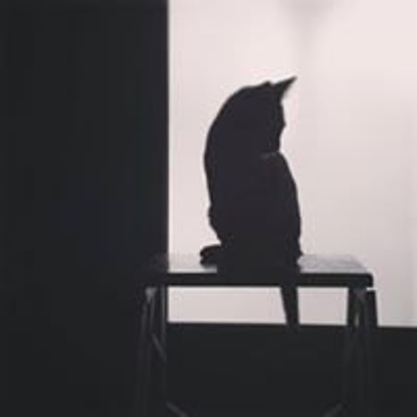 Ctrl Z Band-aid Pin - Etsy