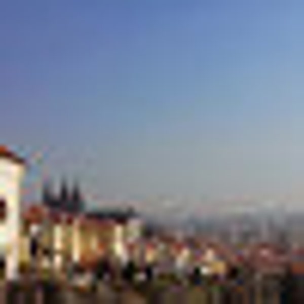 EDITABLE They Found Their Main Squeeze Lemon Couples Shower Welcome ...