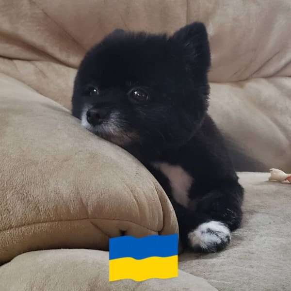 Memorial Cross Stitch Quote, Memorial Gift for Loss - Etsy