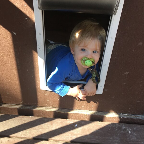 Hamilton the Great Hammerhead Shark Amigurumi Pattern, Crochet ...