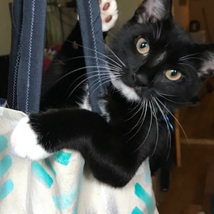 Young and a Menace MANIA FOB Purple Button and Magnet - Etsy