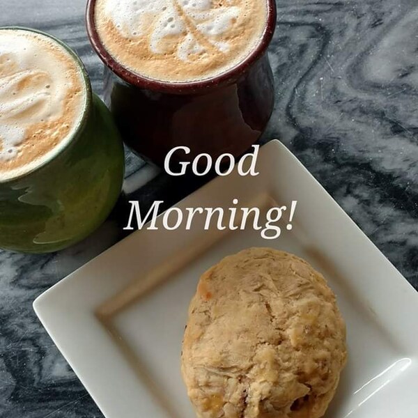 Winter Woods Digital Paper Pack Digital Holiday Paper Christmas Digital ...