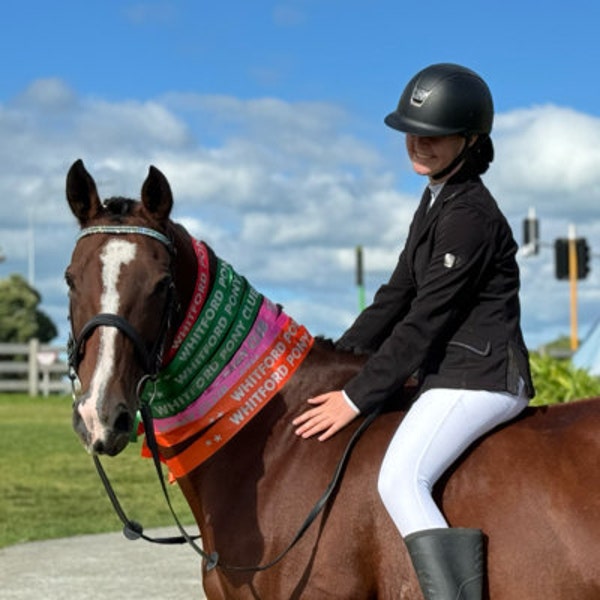 Collecta Horse Modelhorse Repaint Repainted Valentine Special Schleich ...