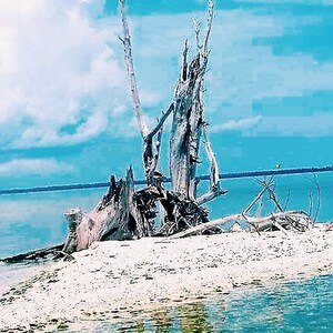 Seattle Washington License Plate Sticker Seattle License Plate Sticker ...