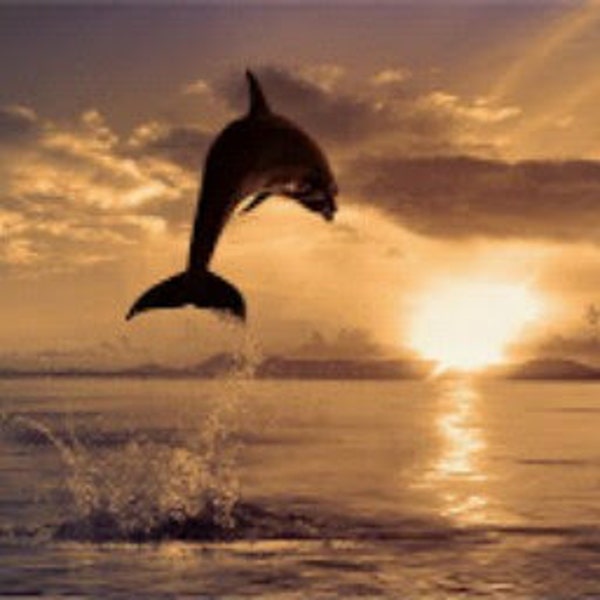 Ready to Ship Vampire Headband Black Crown Gothic Headdress Crystal ...