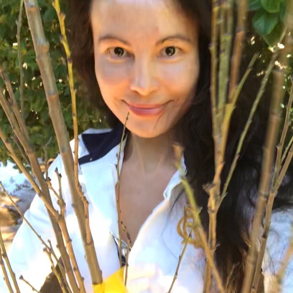 Burgundy Velvet Burnout Duster Jacket Coat Rose and Skulls - Etsy