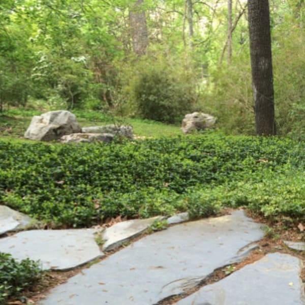 Hijabi Bingo, Hijabi Girl Bingo, Hijab Party Game, Hijabi Game, Hijabi ...