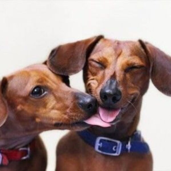 Unique White Flower Deco Art Picture Frames,photo Frame Wedding ,metal ...