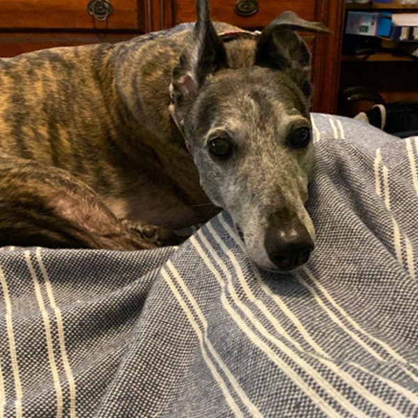 Wallet Pattern Tri-fold With Zipped Coins Pocket PDF Sewing Patterns by ...