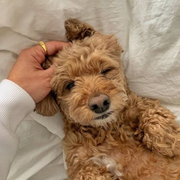 3 Individual Carved Tree Wood Wall Hanging Art - Etsy