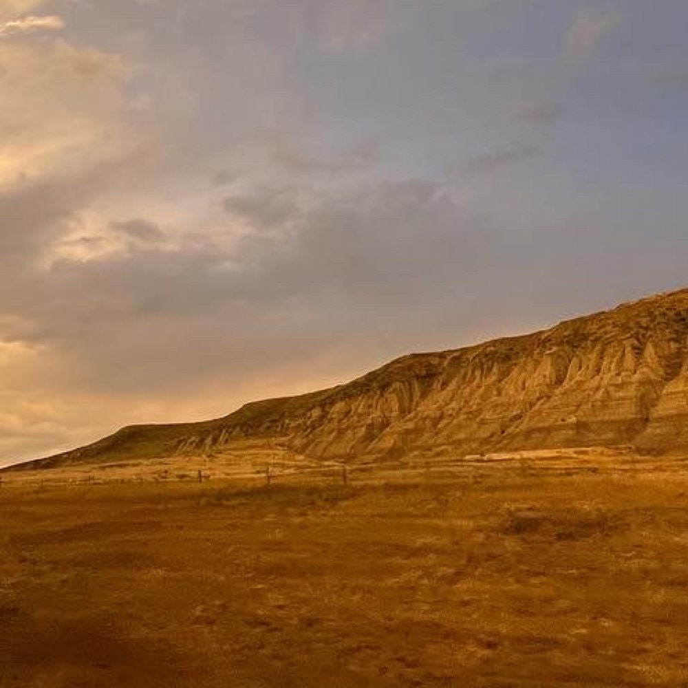 LauraHorsburgh - Etsy