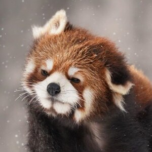 Time Box Template, Time Block Template, Printable PDF - Etsy