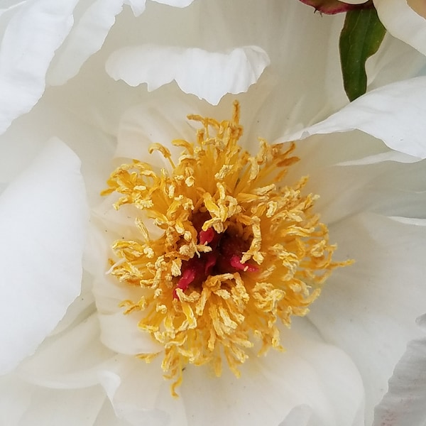 Small Thin Tomahawk Silicone Mold Hatchet Mold Ax Mold Jewelry Mold ...