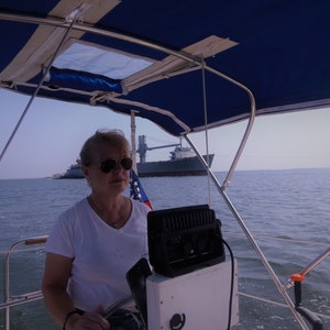 Procreate Color Palette Orange Creamsicle Happy Swatches Bright Colors ...