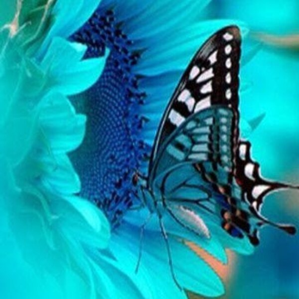 MEGA Bundle-monthly Scripts Hobonichi Cousin, Weeks, and A6 Hand ...