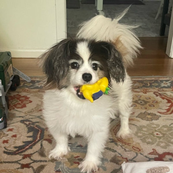 Laser Engraved 4 X 1 Gold Plate W/notched Corners and Adhesive Backing ...