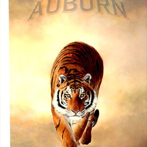 Editable Expressions Vinyl Color Chart, Permanent Vinyl Color Chart ...