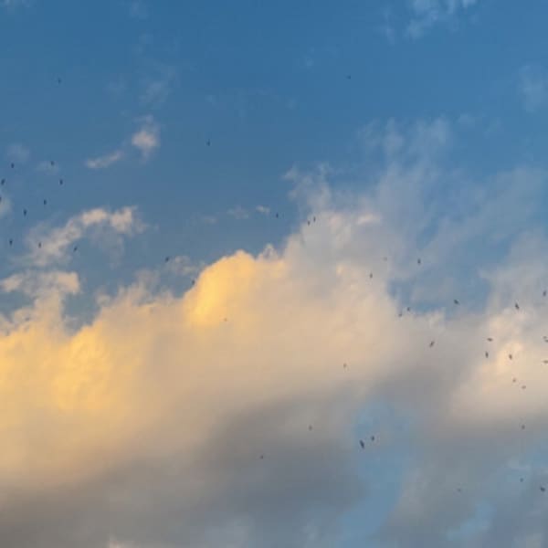 Namjoon Rpwp Tee, Rm Rpwp Tshirt - Etsy