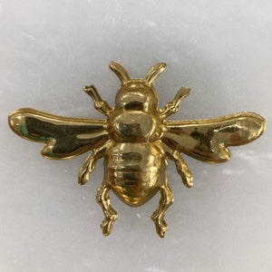 Personalized Notepad . PINE TREE BRANCH & Pinecones Note Pad ...