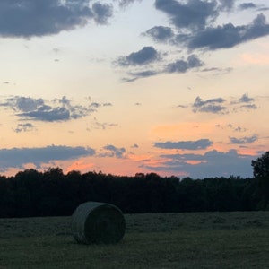 Watercolor Beach Sunsets Digital Paper Pack for Commercial Use, Beach ...