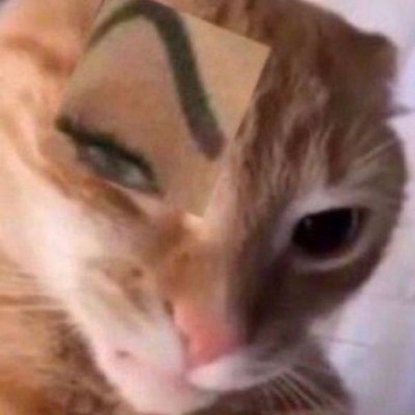 Lariat Liberty Horse Sliding Neck Ring Cordeo for Bridleless Riding ...