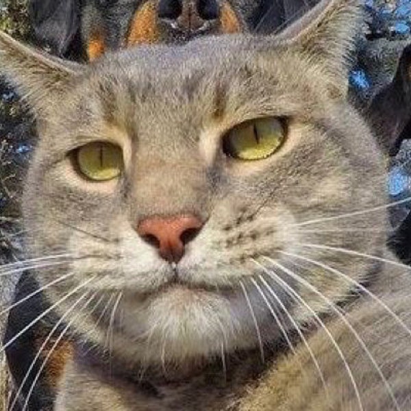 10 Cyberpunk Docks/warehouses Battlemaps, Sci Fi, Cyberpunk, D&D ...