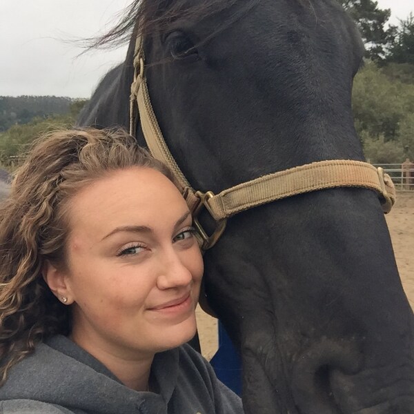 MMDesignStudioCo - Etsy