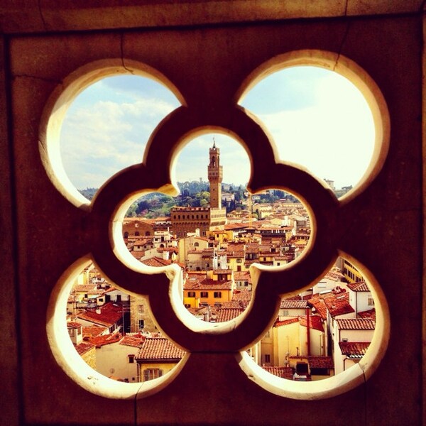 Leonardo Da Vinci Flying Machine Model Files svg , Dxf , Pdf and Ai ...